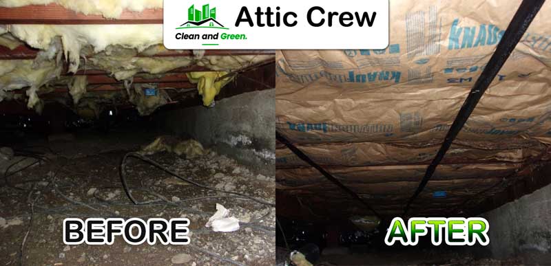 Crawl Space Cleaning services in Seattle » Attic Crew