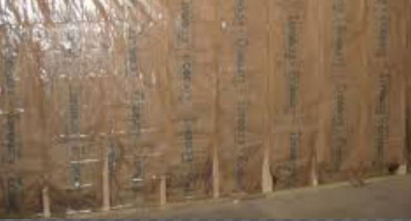 Moisture Barrier Experts | Seattle | Tacoma » Attic Crew