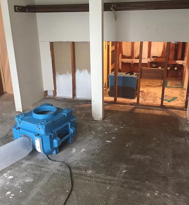 Mold Remediation » Attic Crew Seattle