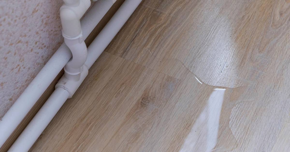 Water Intrusion: Detecting and Managing the Risks » Attic Crew