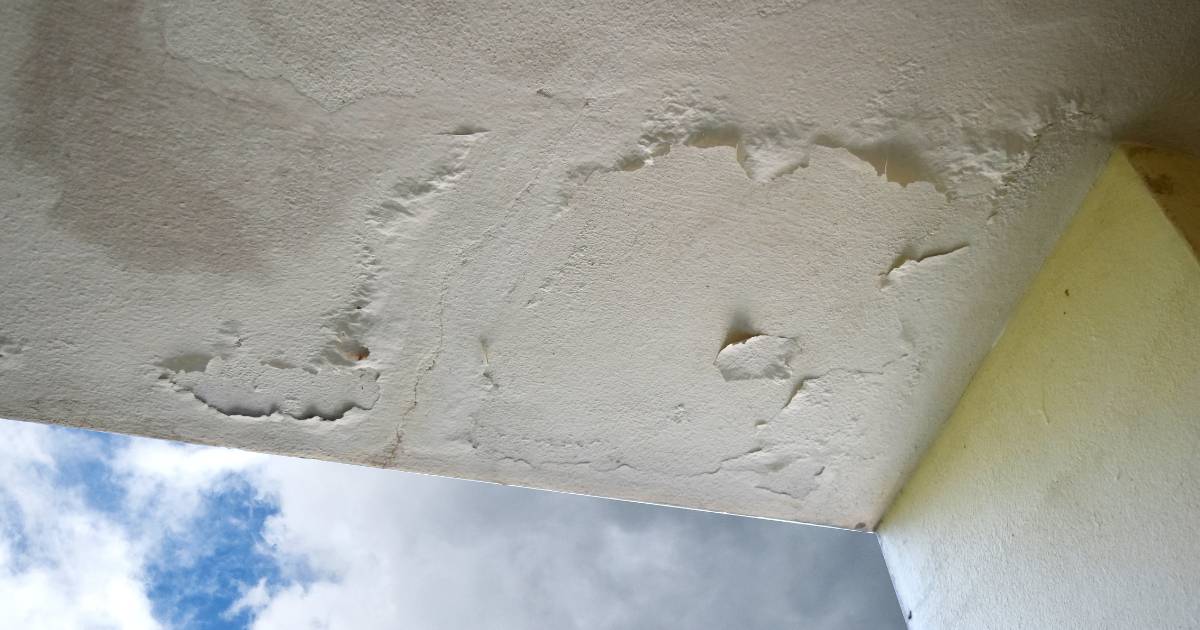 Water Intrusion: Detecting and Managing the Risks » Attic Crew